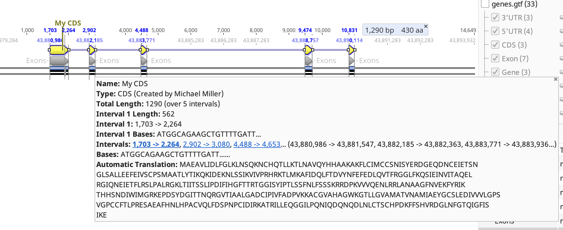 How to create multi-interval (multi-exon) gene coding sequence (CDS) annotations in Geneious ...